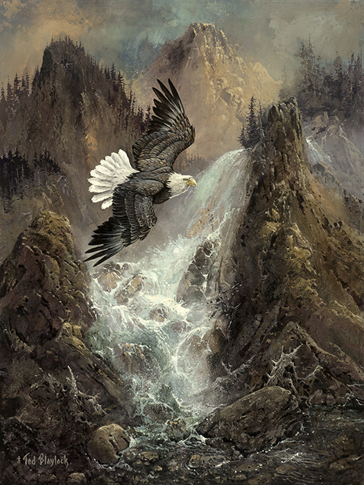 Wildlife art prints plus original paintings with a wide selection from ...